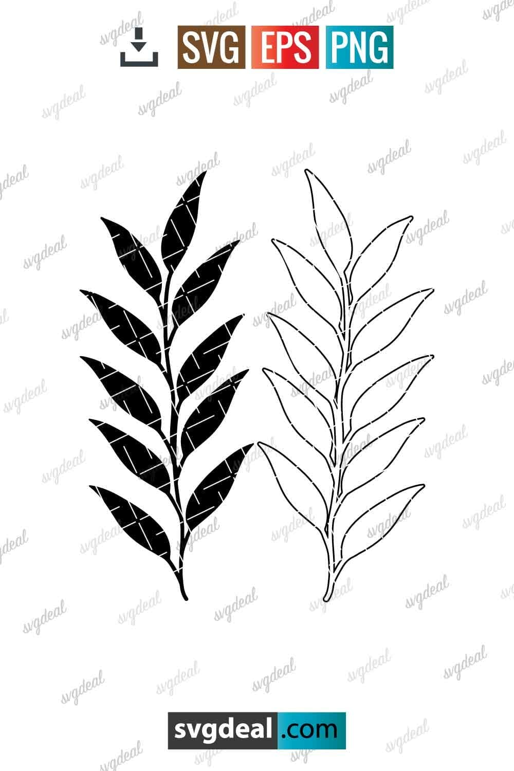 Free Eucalyptus Svg - SVGDeal.com